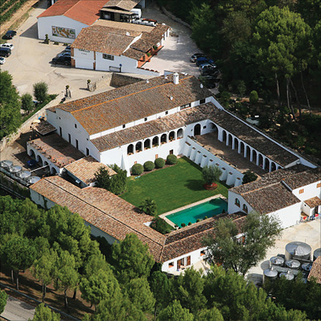 BODEGAS TORELLO Raimonda 2016 | MasterBrandsAsia